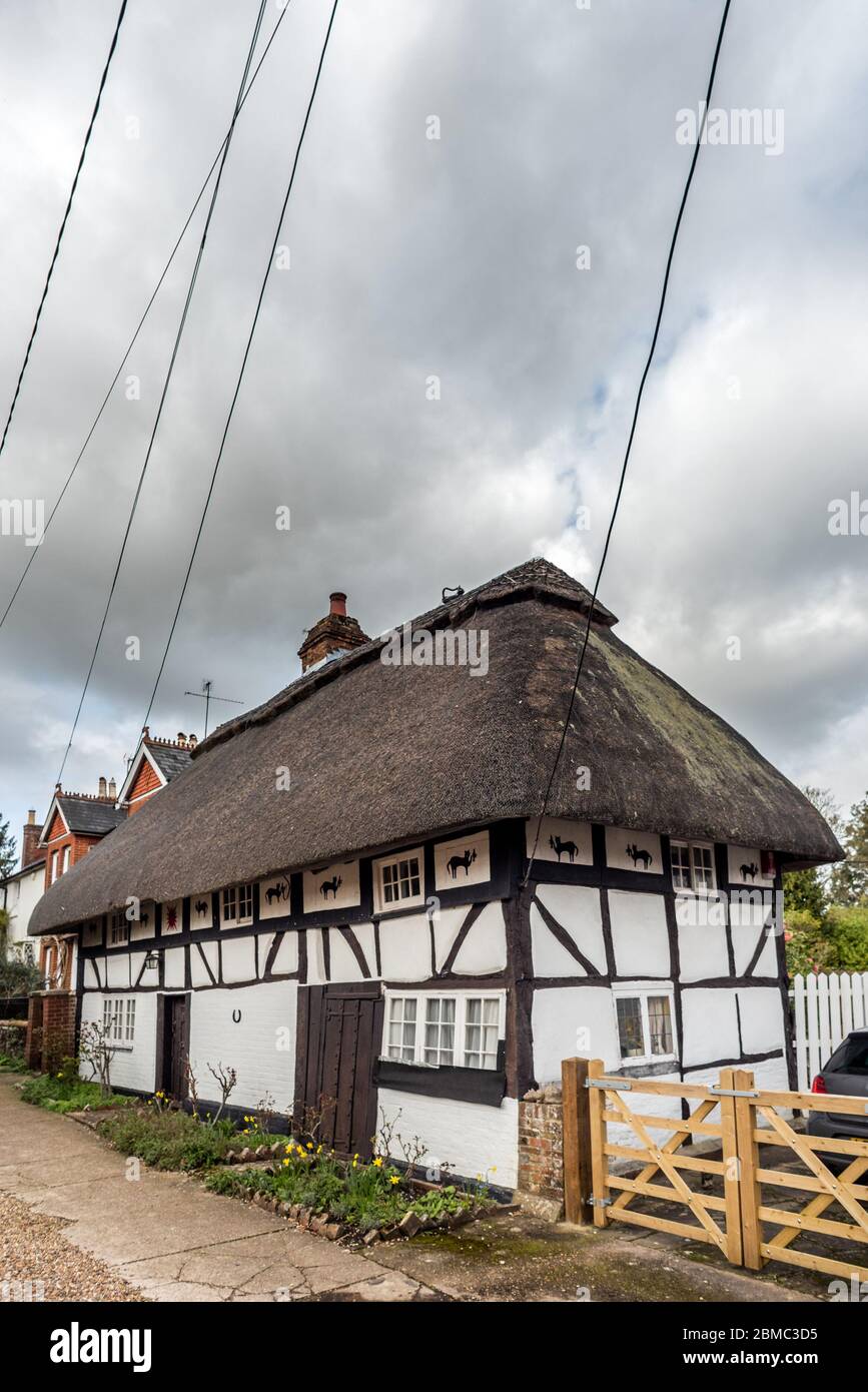 Henfield UK: The Cat House Stock Photo - Alamy