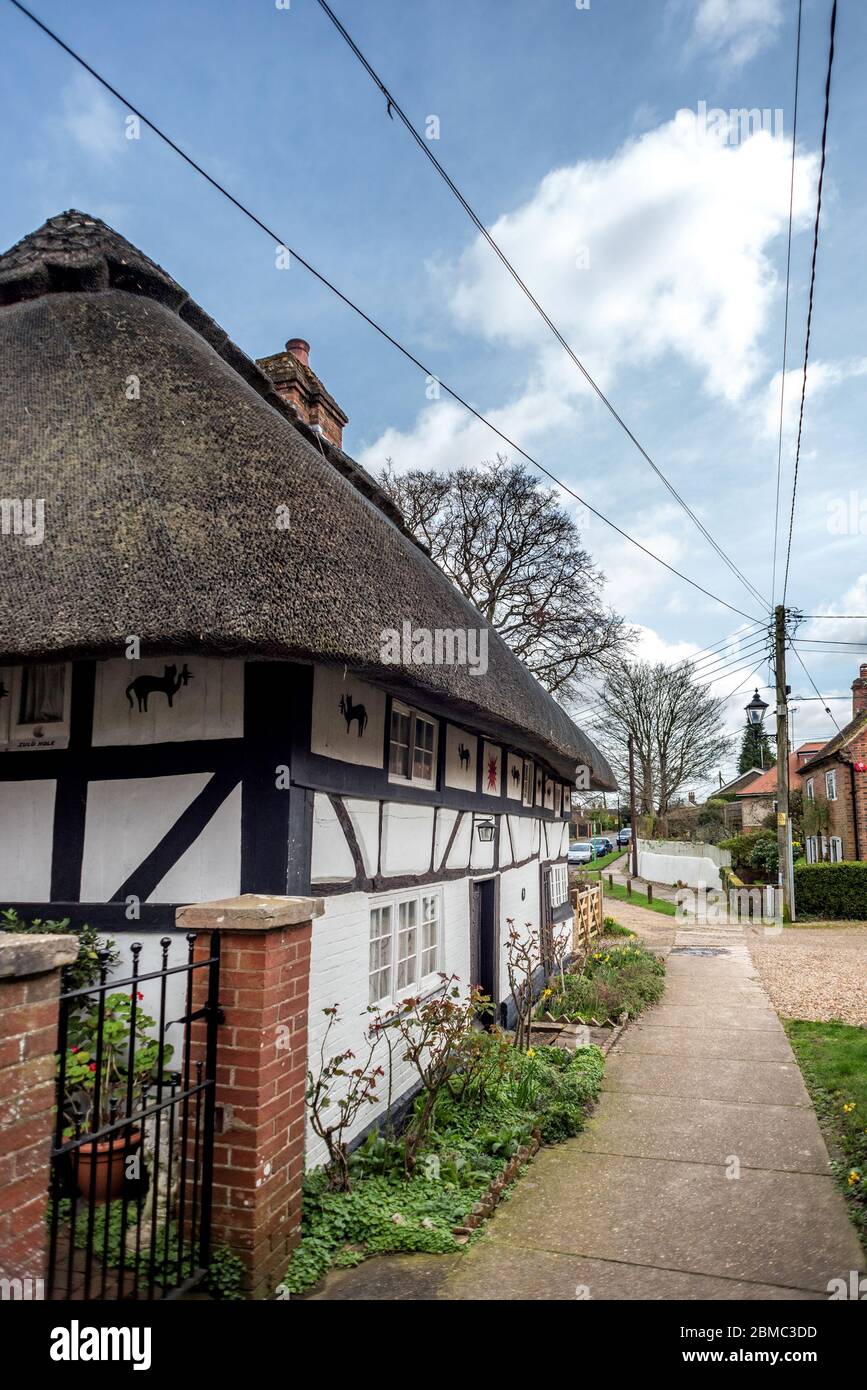 Henfield UK: The Cat House Stock Photo - Alamy
