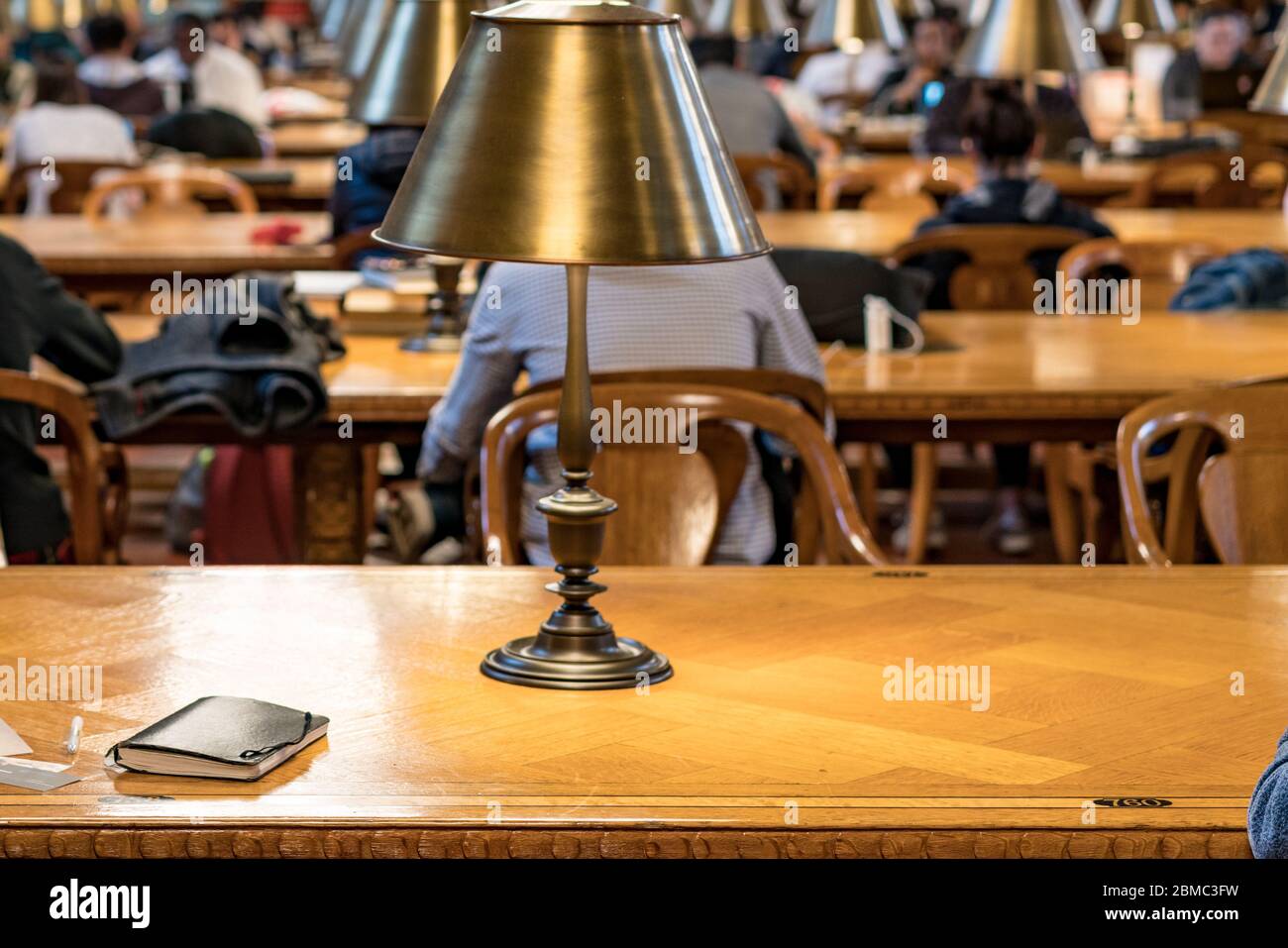 New York Public Library at 42nd street in the Stephen A. Schwarzman ...