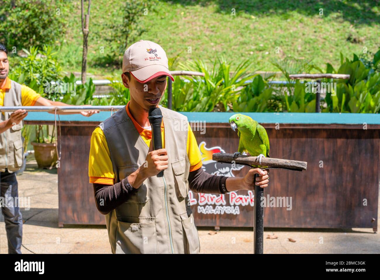 Parrots and trainer hi-res stock photography and images - Alamy