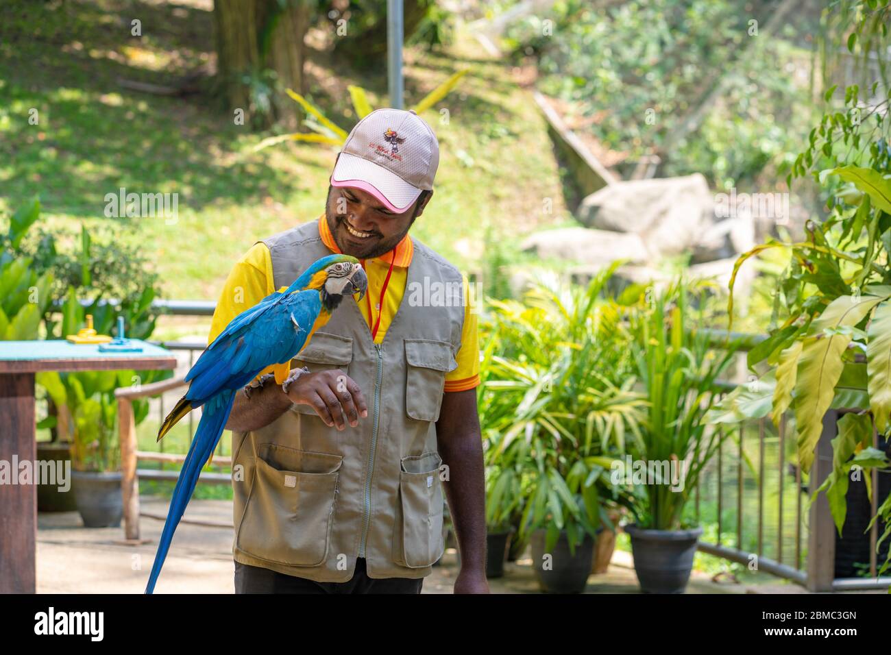 Parrots and trainer hi-res stock photography and images - Alamy