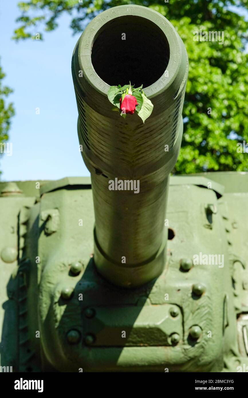 Berlin, Germany. 08th May, 2020. A rose is stuck in the barrel of a ...