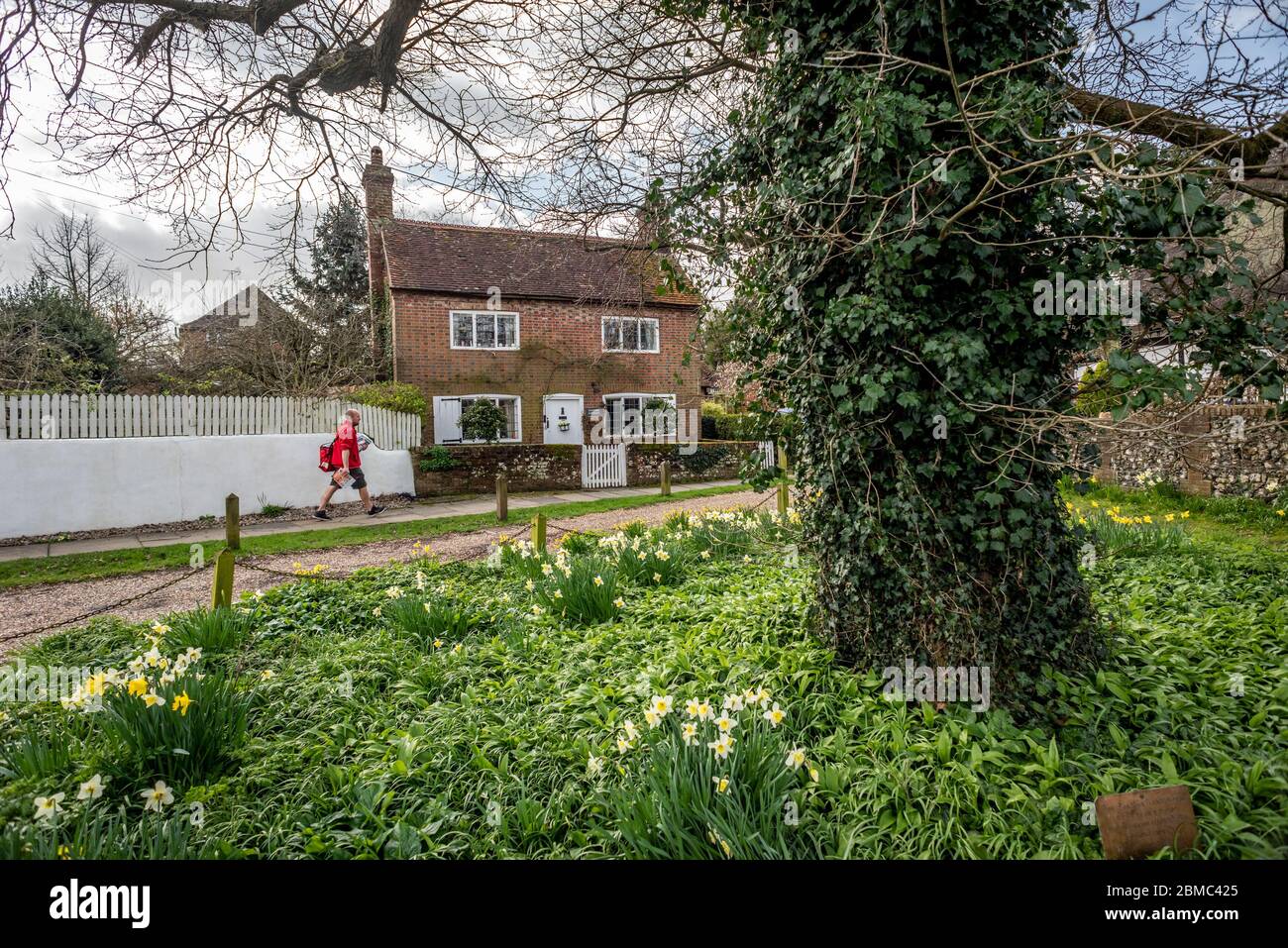 Henfield UK: Pinchnose Green Stock Photo - Alamy