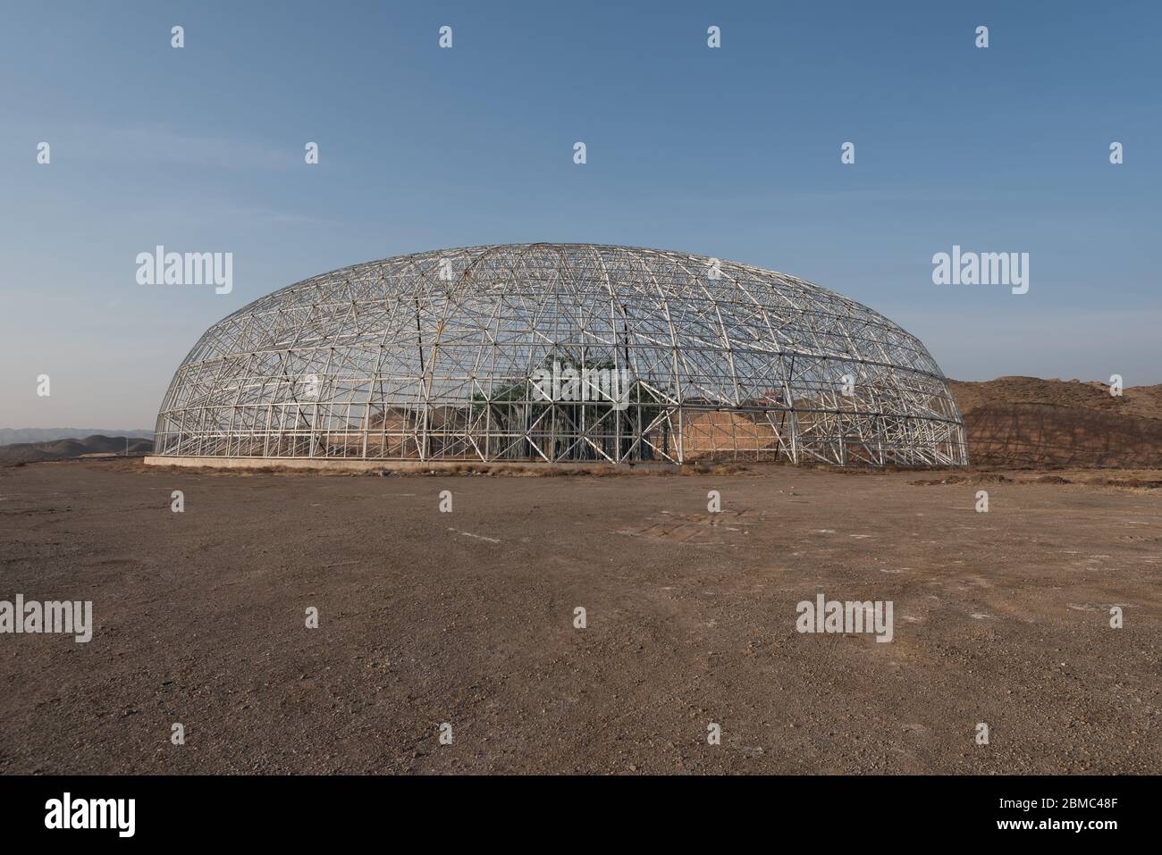 bunch of trees was isolated in a huge metal cage in the wild Stock ...