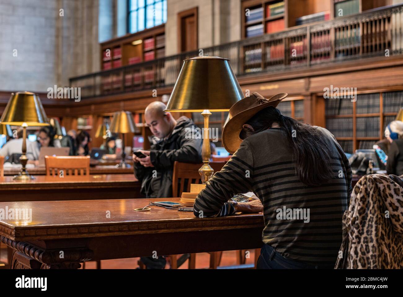 New York Public Library at 42nd street in the Stephen A. Schwarzman ...