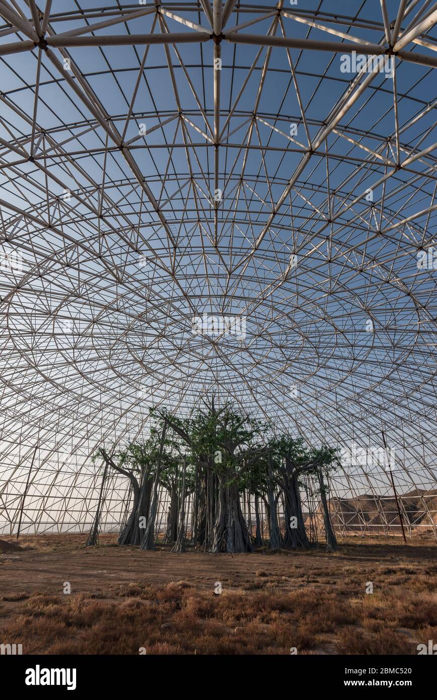 bunch of trees was isolated in a huge metal cage in the wild Stock ...