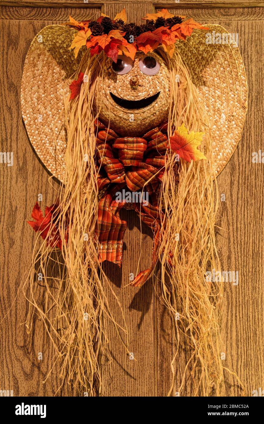 Smiling Scarecrow Face Stock Photo - Alamy