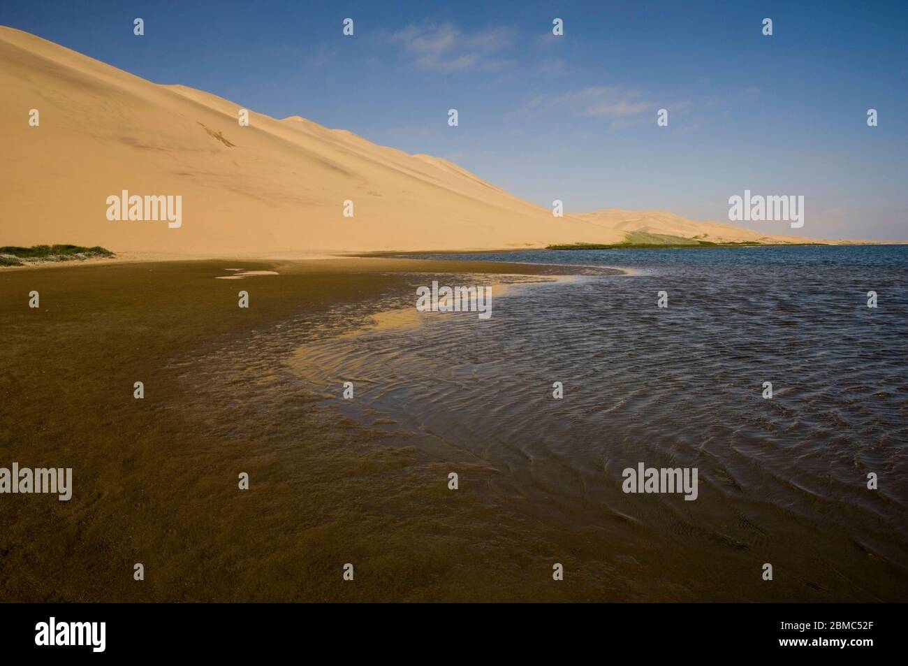 sand dunes of namib at ocean Stock Photo - Alamy