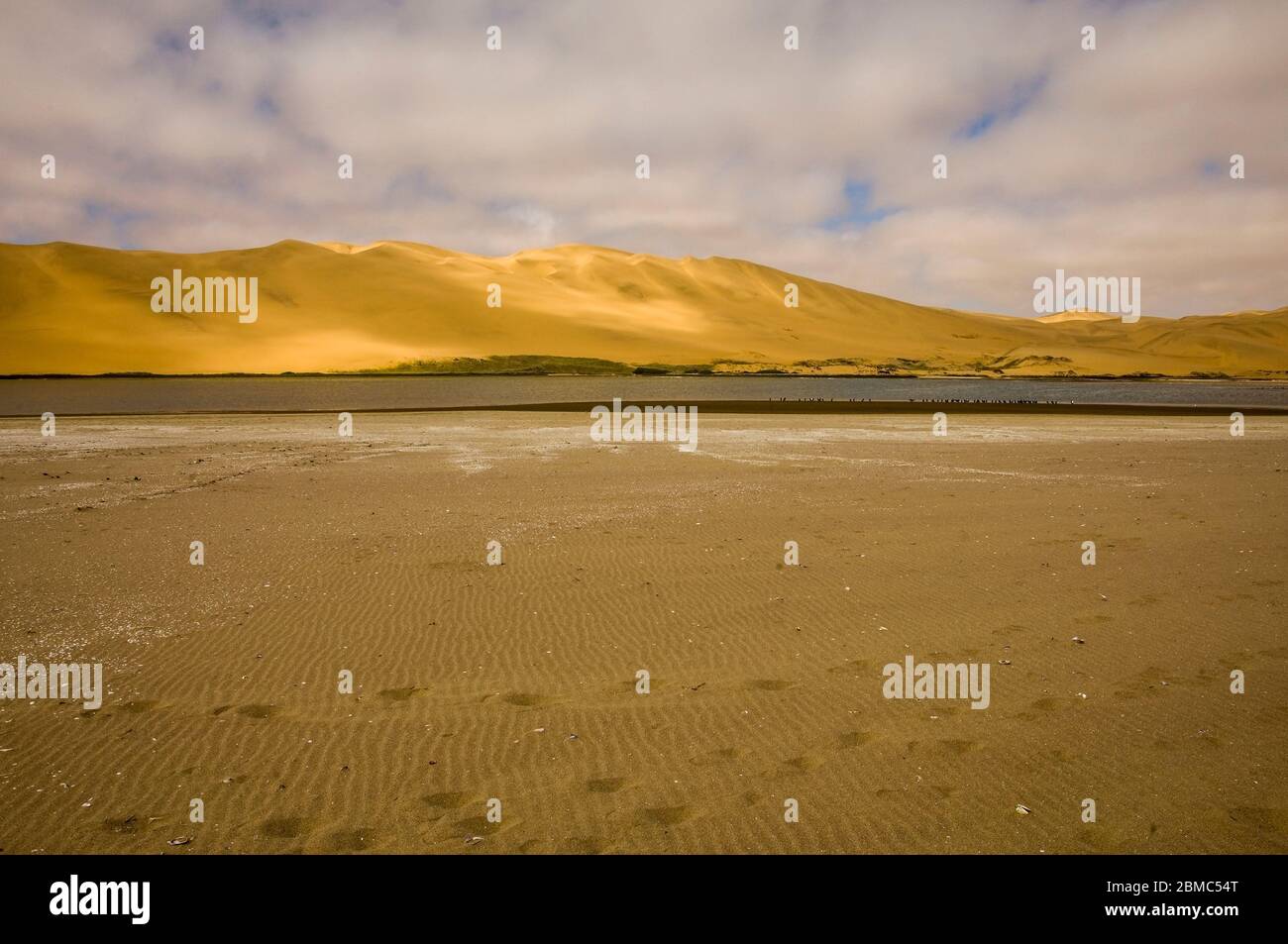 sand dunes of namib at ocean Stock Photo - Alamy
