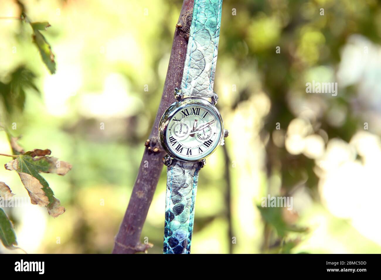 The green Watch is placed on a tree branch . Green Watch green ...