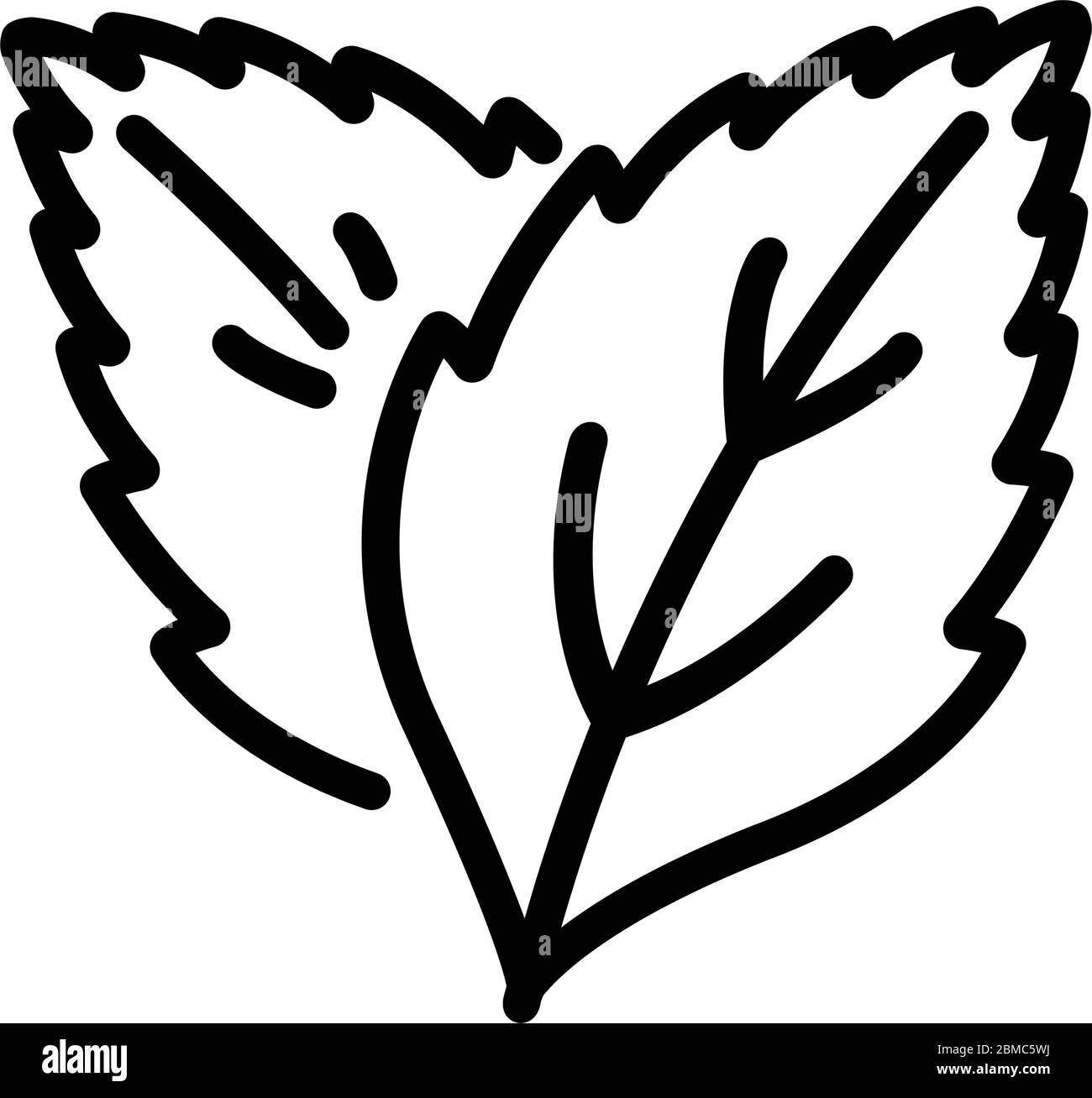 grass plant leaves peppermint icon vector Stock Vector Image & Art - Alamy