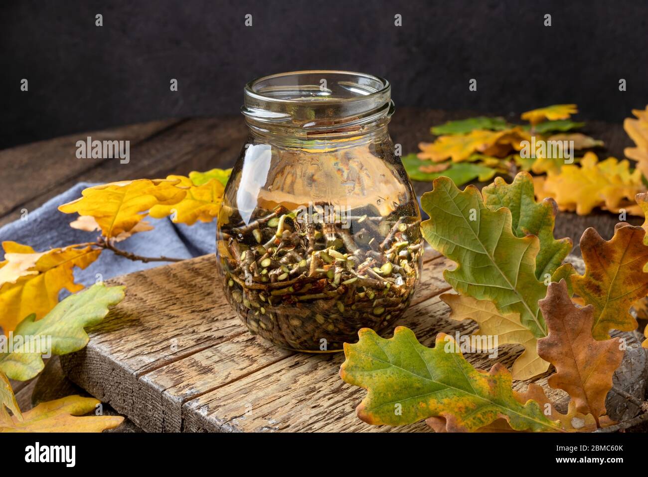 Preparation of alcohol tincture from oak bark Stock Photo - Alamy