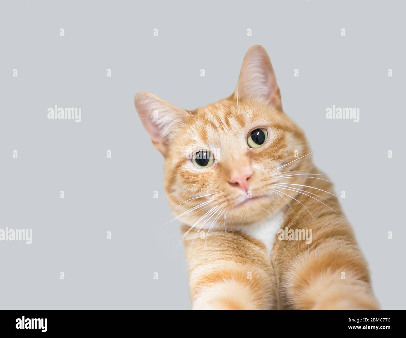 Legs forward hi-res stock photography and images - Alamy