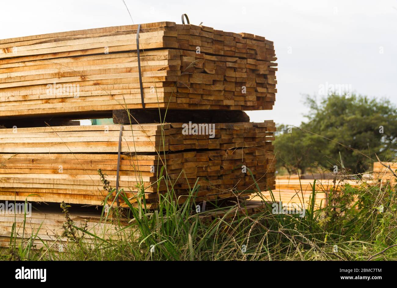 wood boards stacked for drying process in the sawmill Stock Photo - Alamy