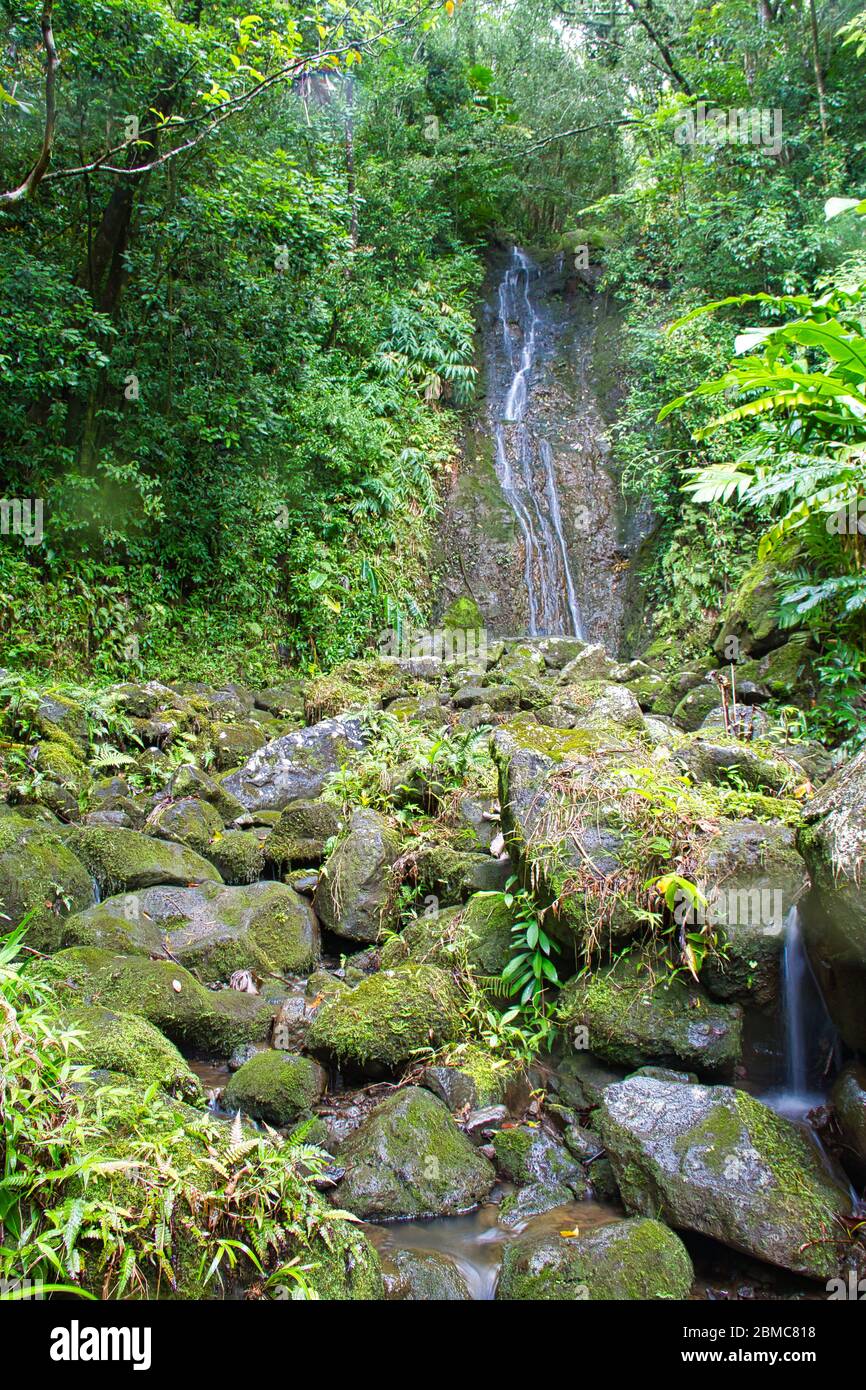 Beautiful waterfall rain forest hawaii hi-res stock photography and ...