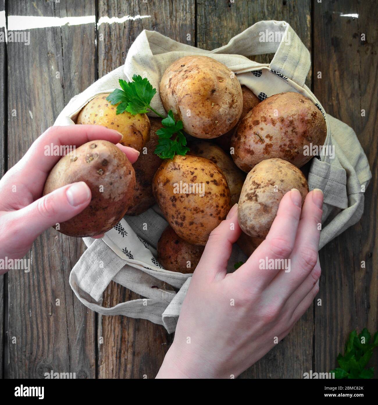 Earthy hands hi-res stock photography and images - Alamy