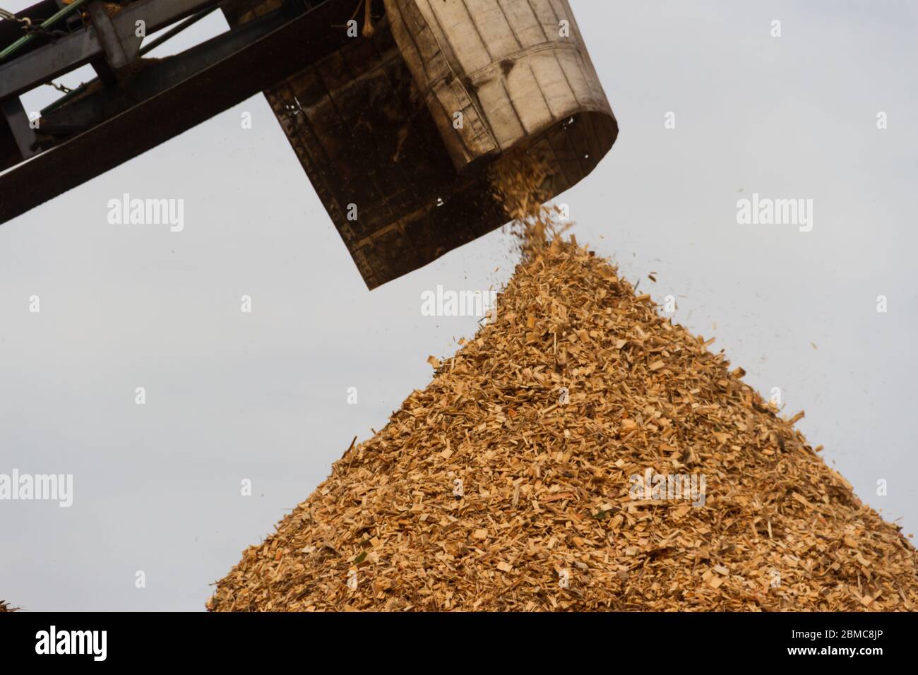 hopper forming a pile of sawdust in the wood industry Stock Photo - Alamy