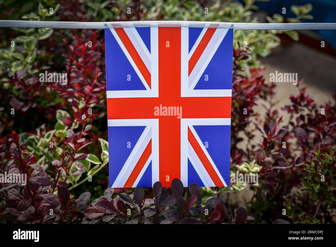 Union Jack bunting on a hedge row, one flags in row Stock Photo - Alamy
