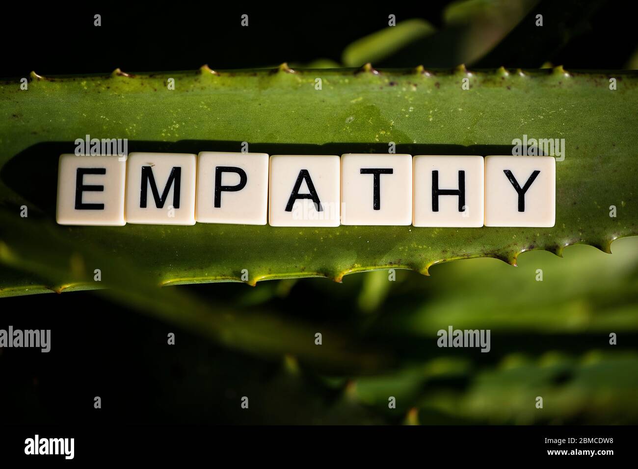 Empathy in block letters Stock Photo - Alamy