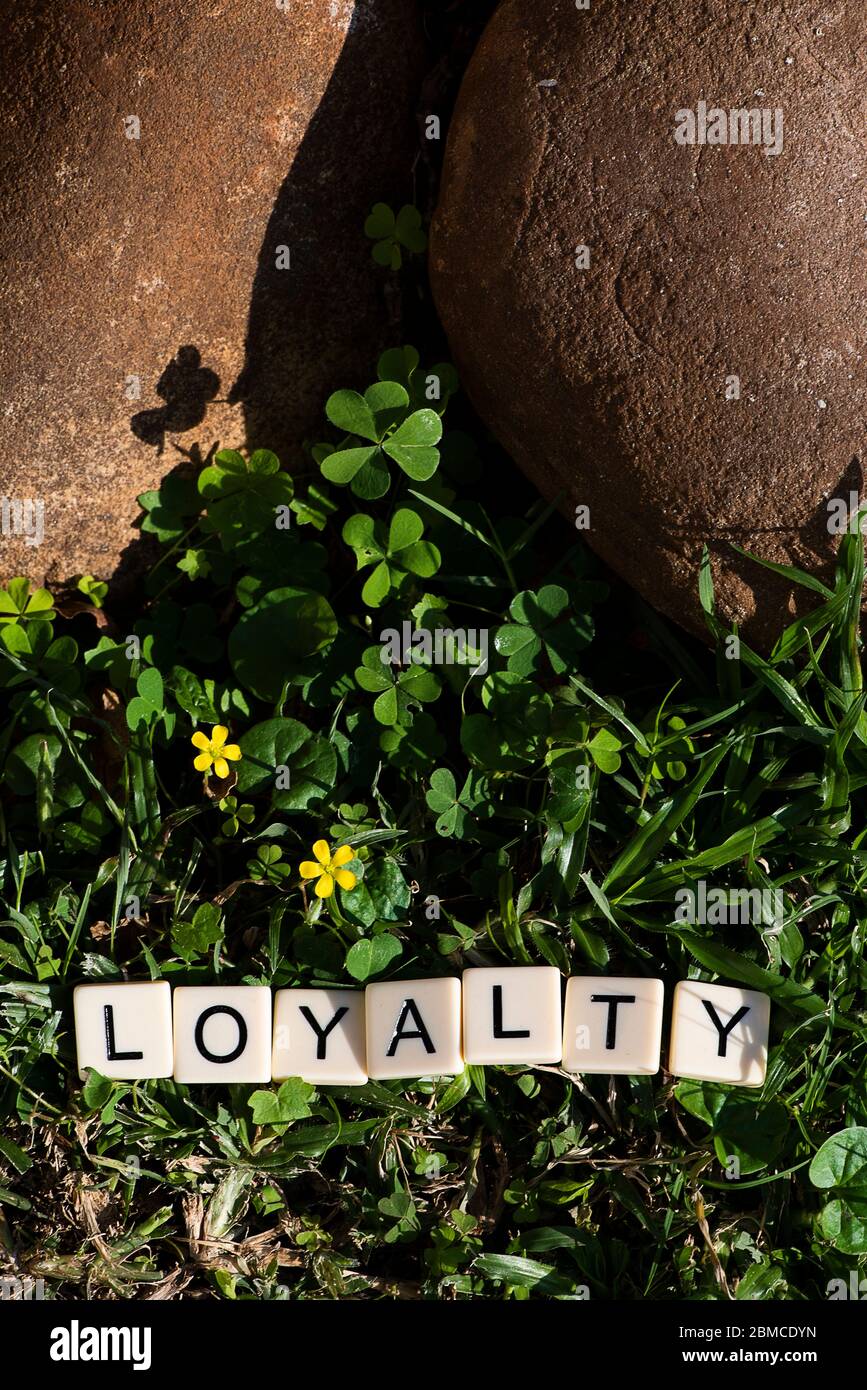 Word loyalty hi-res stock photography and images - Alamy