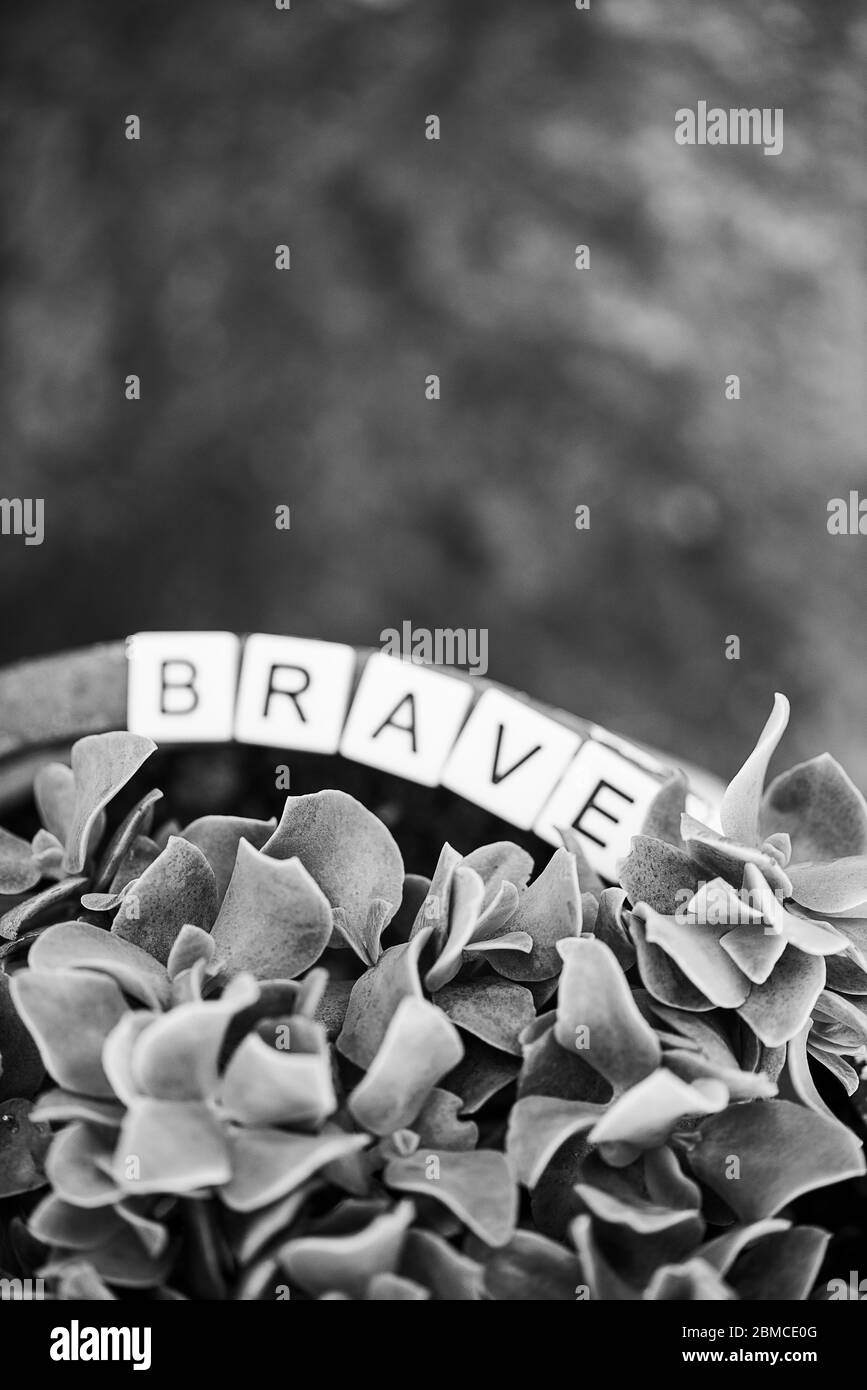 Brave Black and White Stock Photos & Images - Alamy
