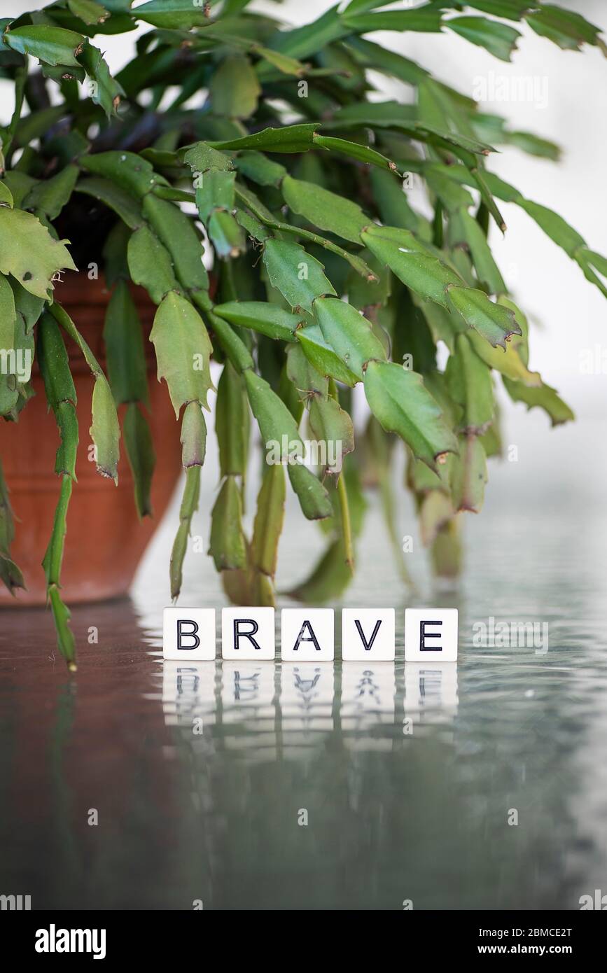 Brave in block letters Stock Photo - Alamy