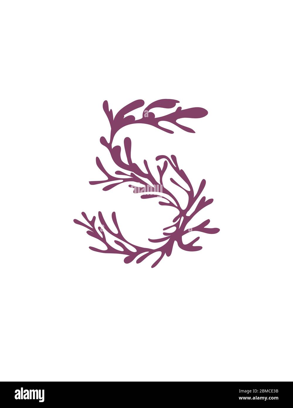 Number 5 purple colored seaweeds underwater ocean plant sea coral ...