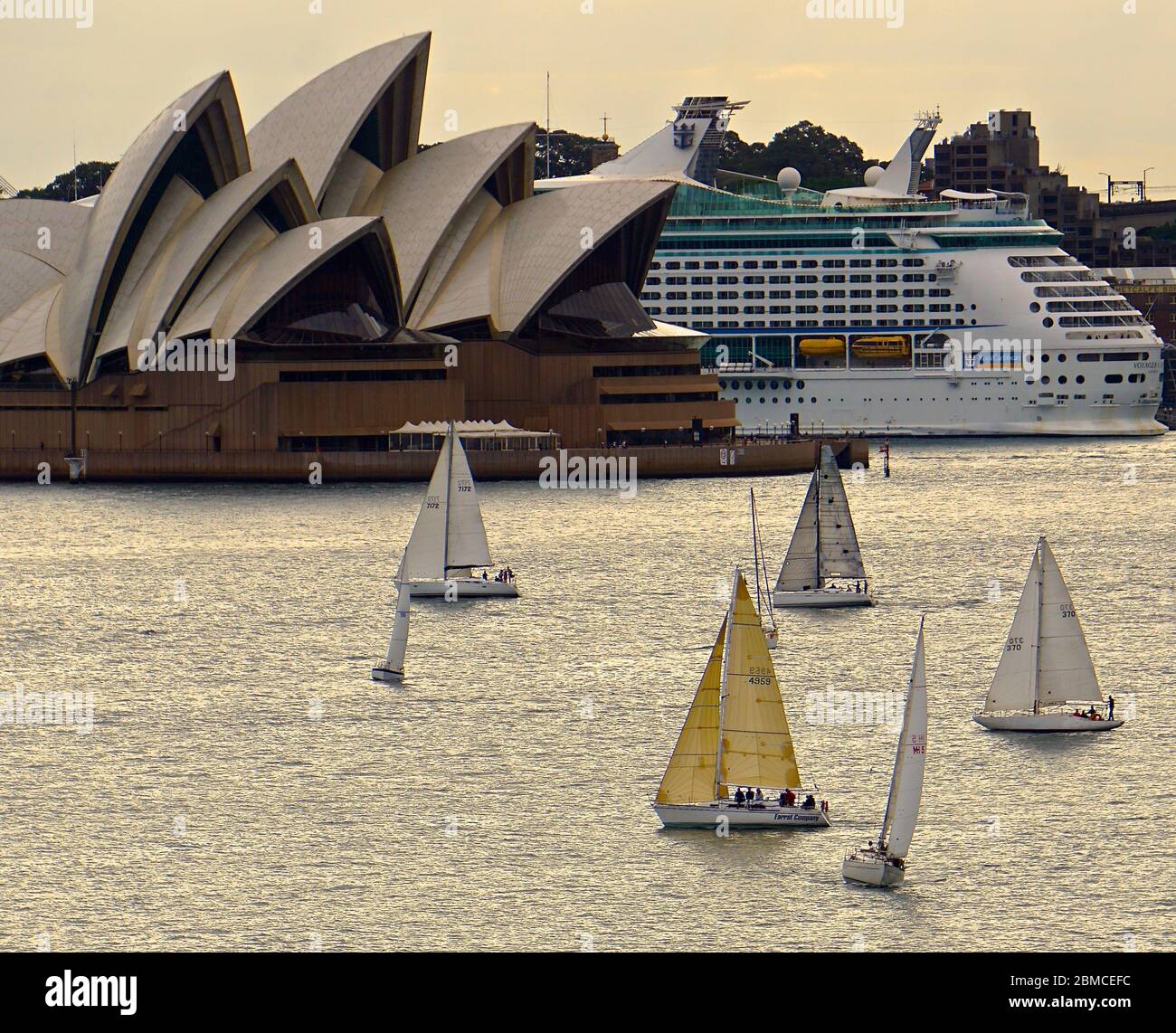Sydney Opera House on Display Stock Photo - Alamy