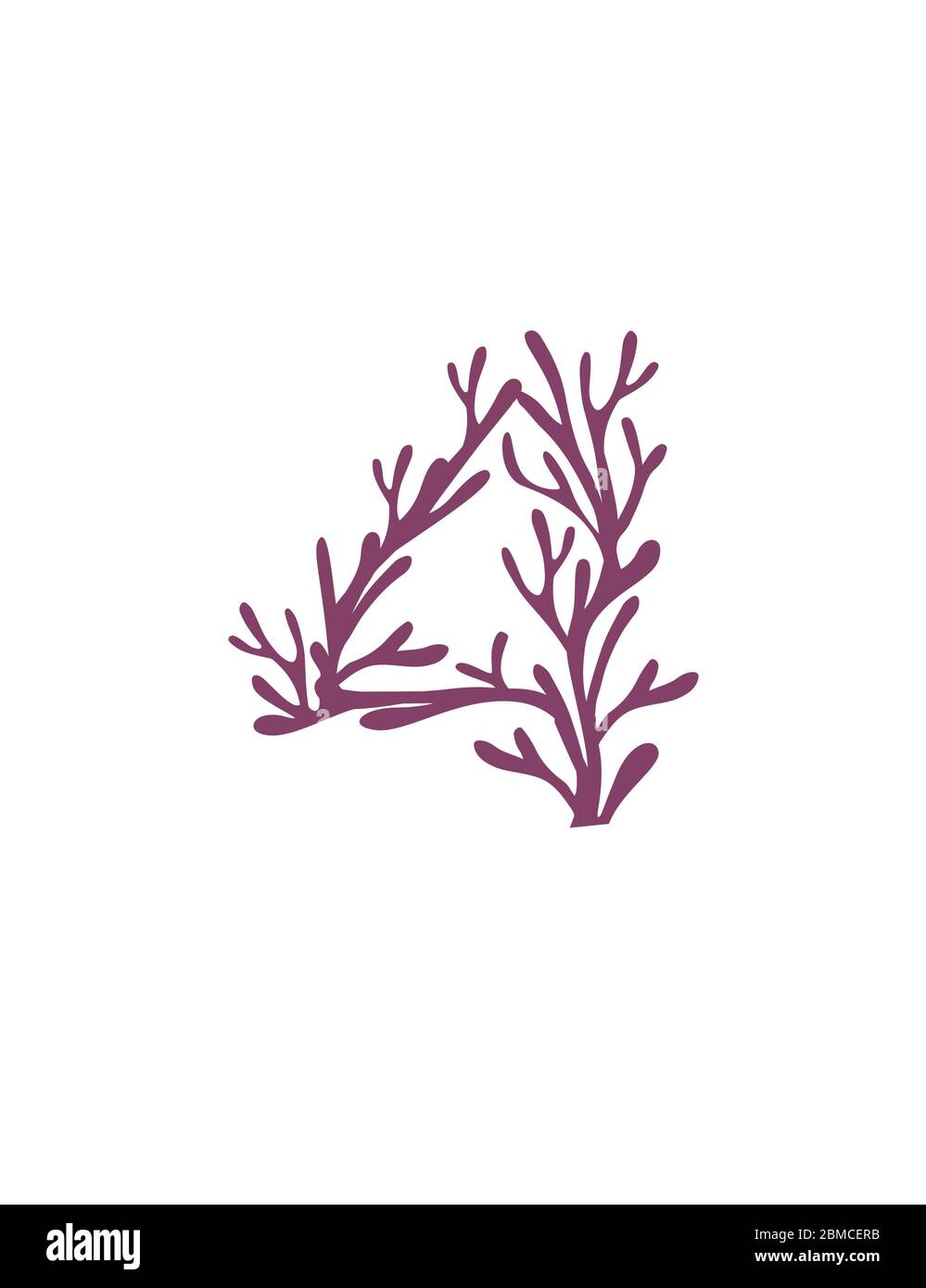 Number 4 purple colored seaweeds underwater ocean plant sea coral ...