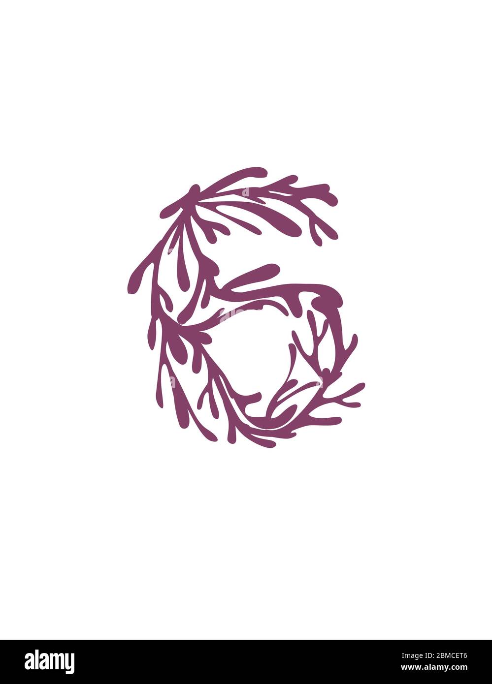 Number 6 purple colored seaweeds underwater ocean plant sea coral ...