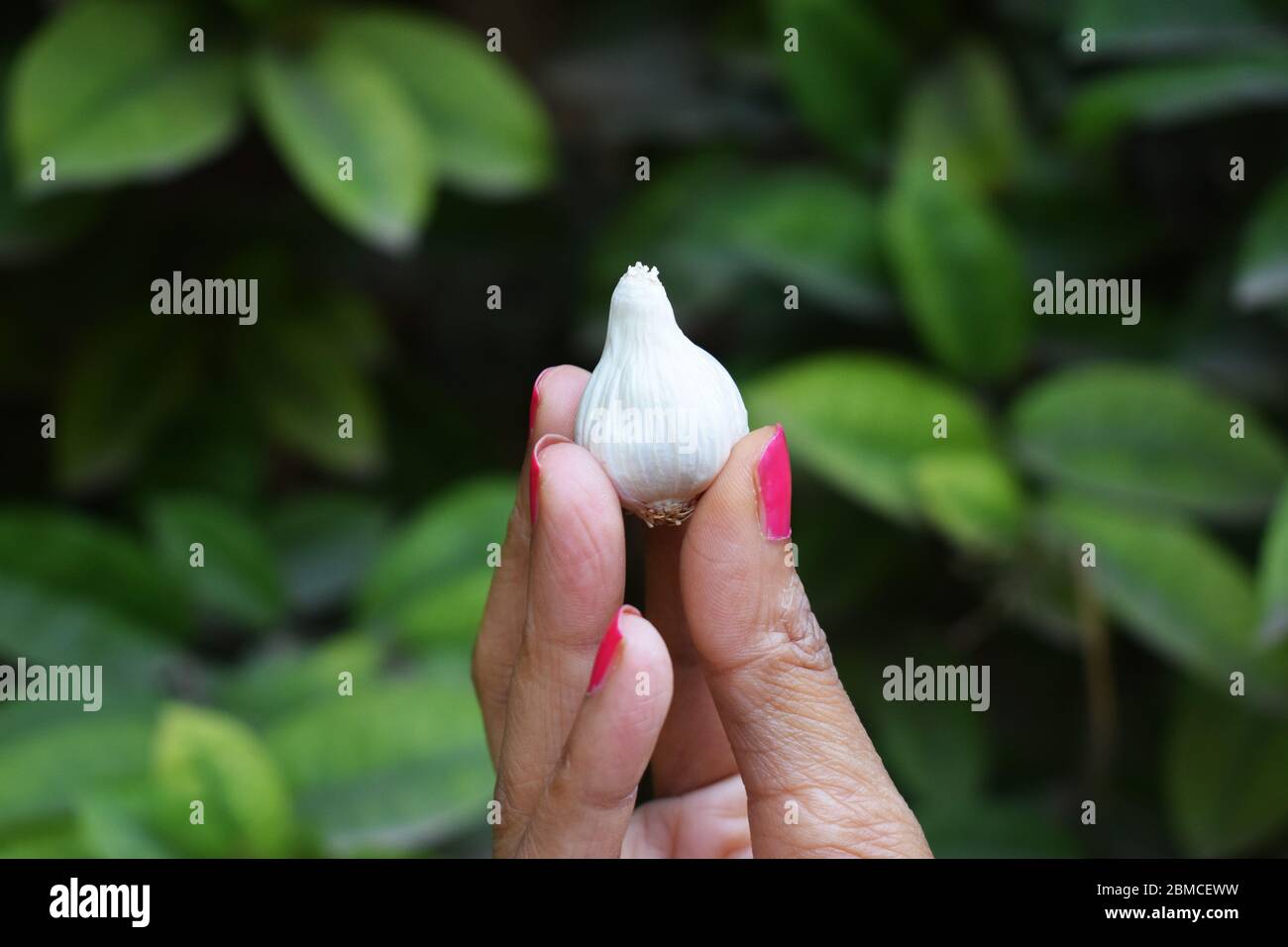 Smaller mini hi-res stock photography and images - Alamy