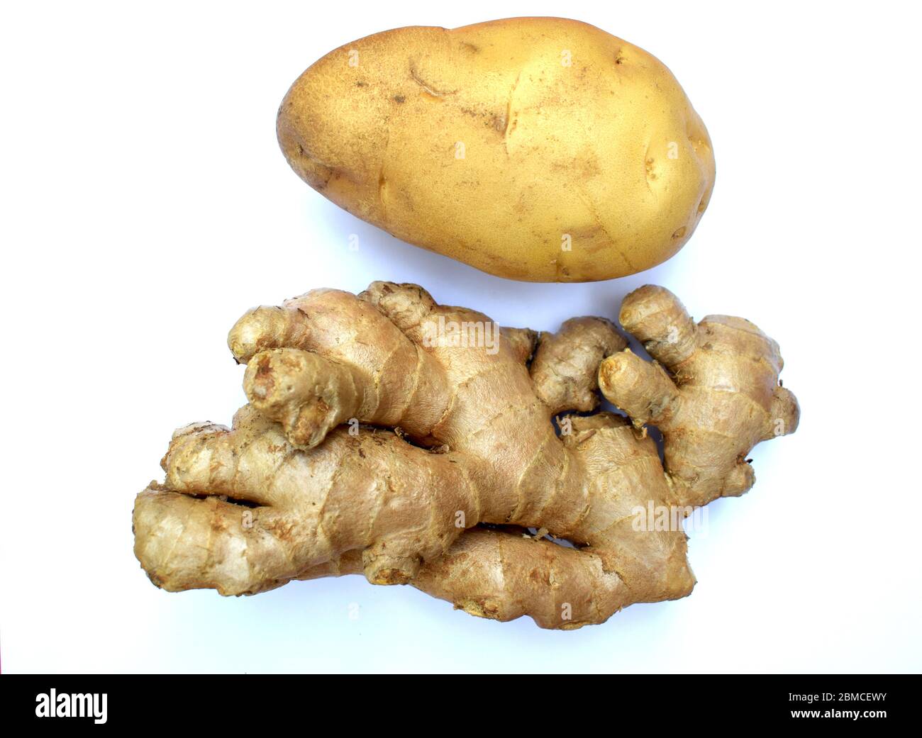 Large huge big fresh ginger root rhizome raw and potato root vegetable ...