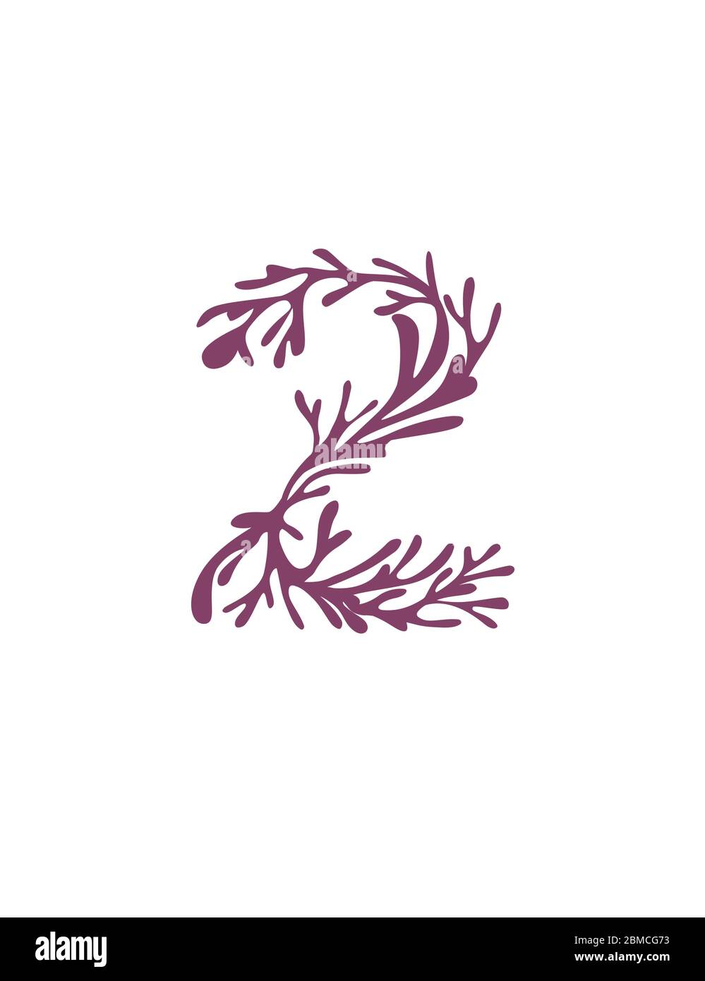 Number 2 purple colored seaweeds underwater ocean plant sea coral ...