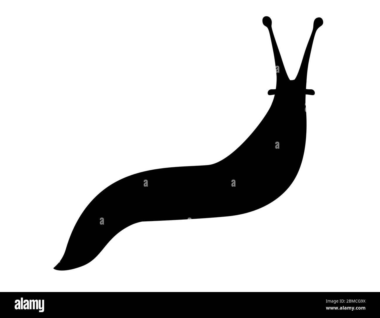 Black silhouette slug cartoon animal design flat vector illustration ...