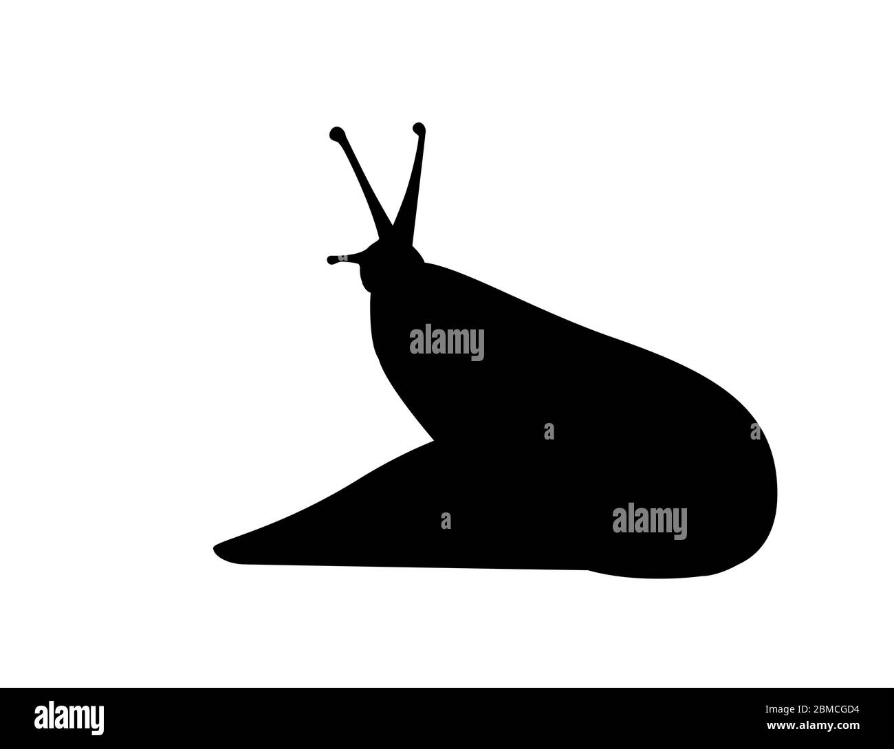 Black silhouette slug cartoon animal design flat vector illustration ...