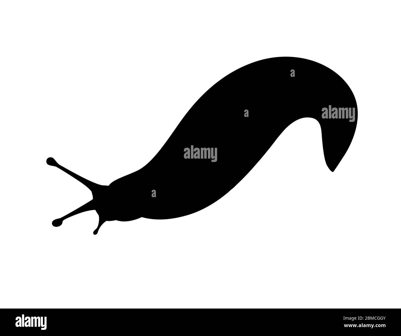 Black silhouette slug cartoon animal design flat vector illustration ...
