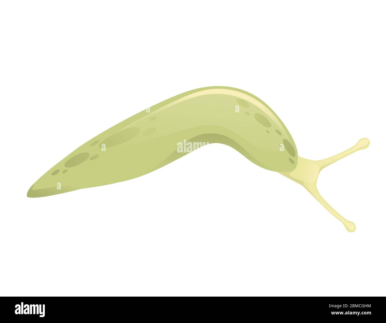 Green slug cartoon animal design flat vector illustration isolated on ...