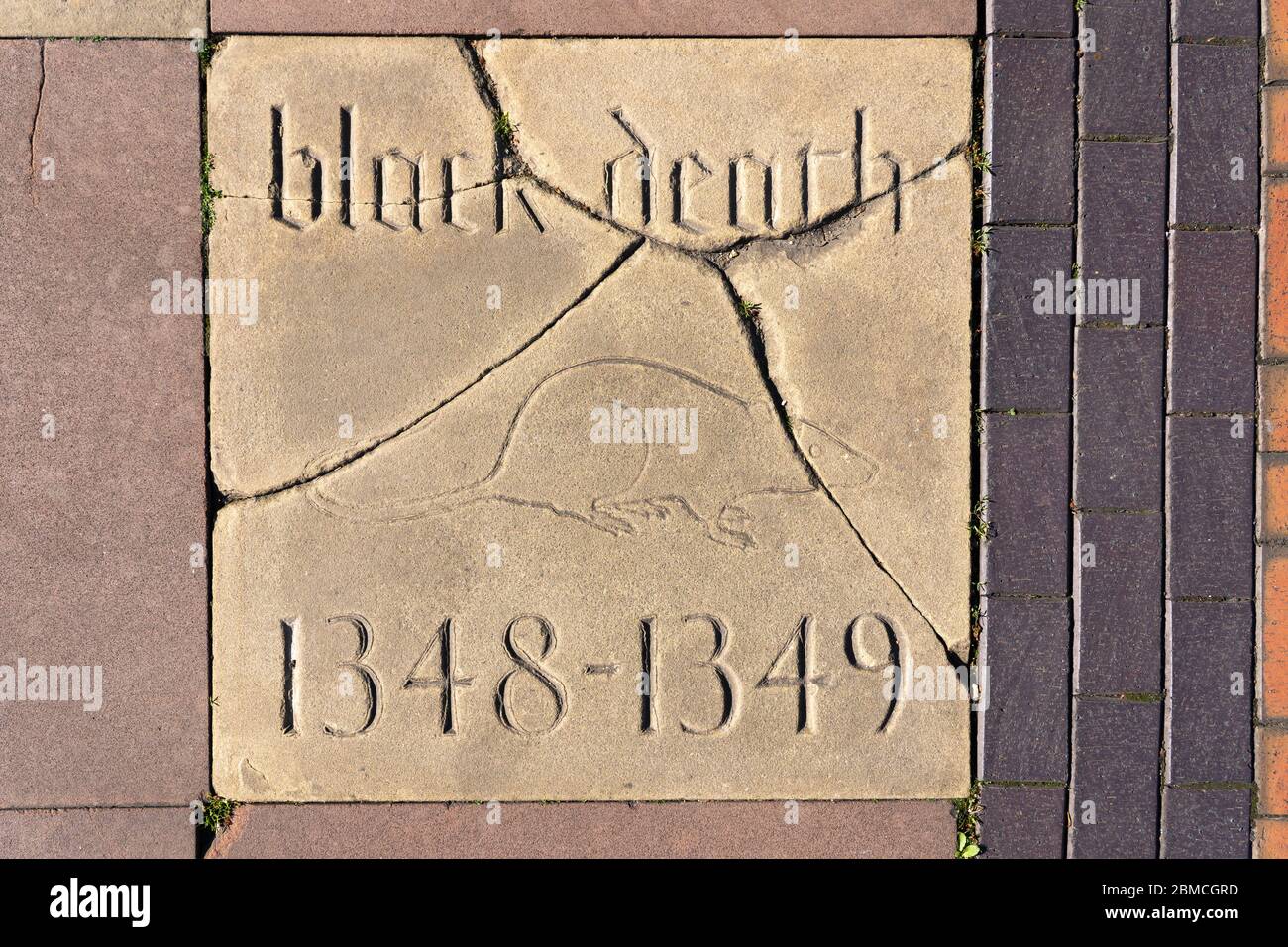 1348 the black death hi-res stock photography and images - Alamy