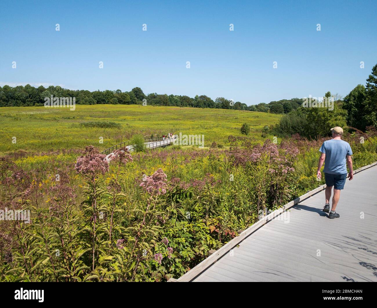 Meadow Garden. Spanning 86 acres, Longwood Gardens, Brandywine Valley ...
