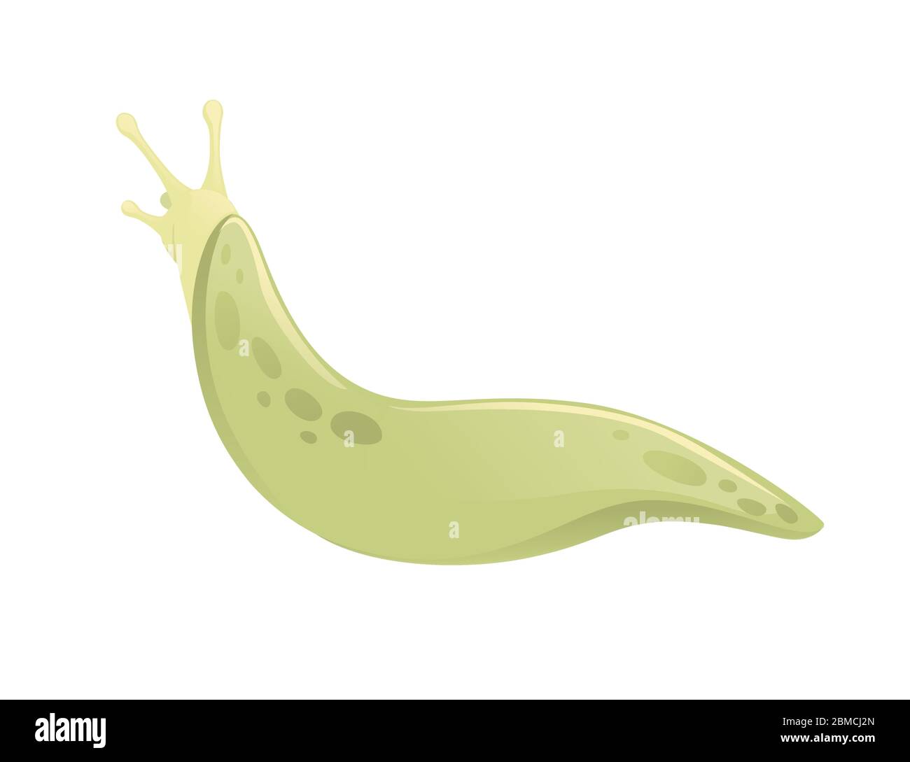 Green slug cartoon animal design flat vector illustration isolated on ...
