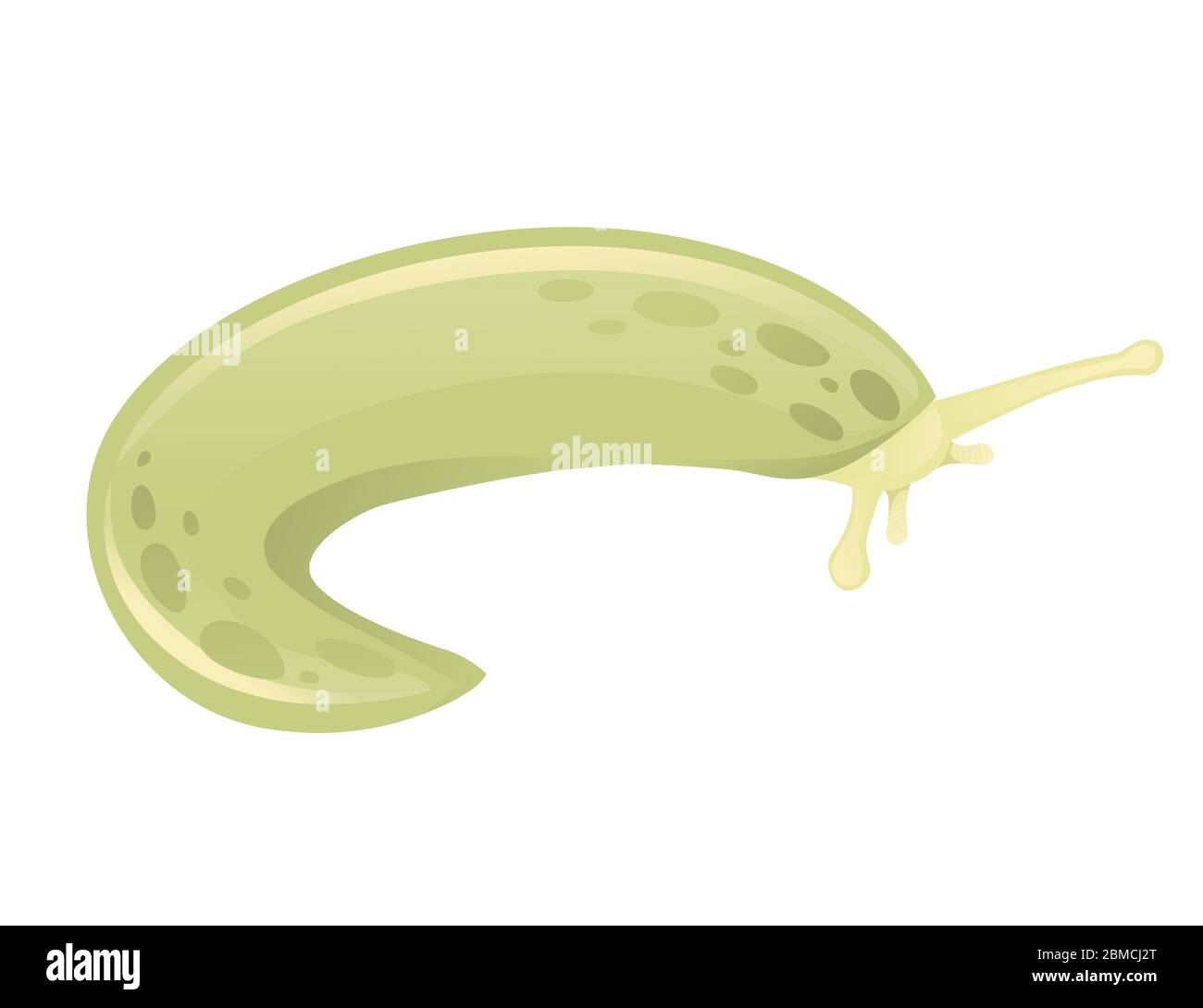 Green slug cartoon animal design flat vector illustration isolated on ...