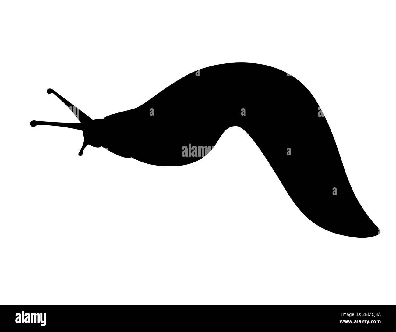 Black silhouette slug cartoon animal design flat vector illustration ...