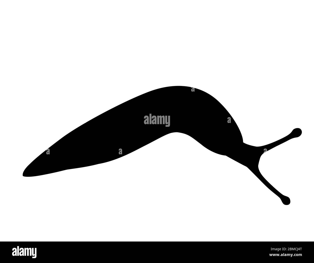 Black silhouette slug cartoon animal design flat vector illustration ...