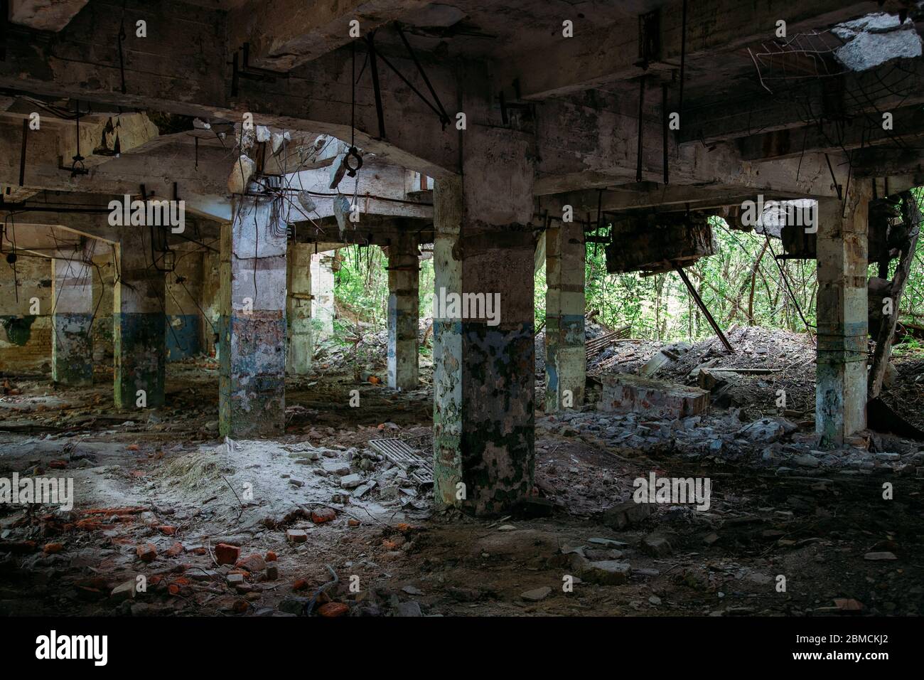 Old abandoned ruined industrial building overgrown by plants and trees ...