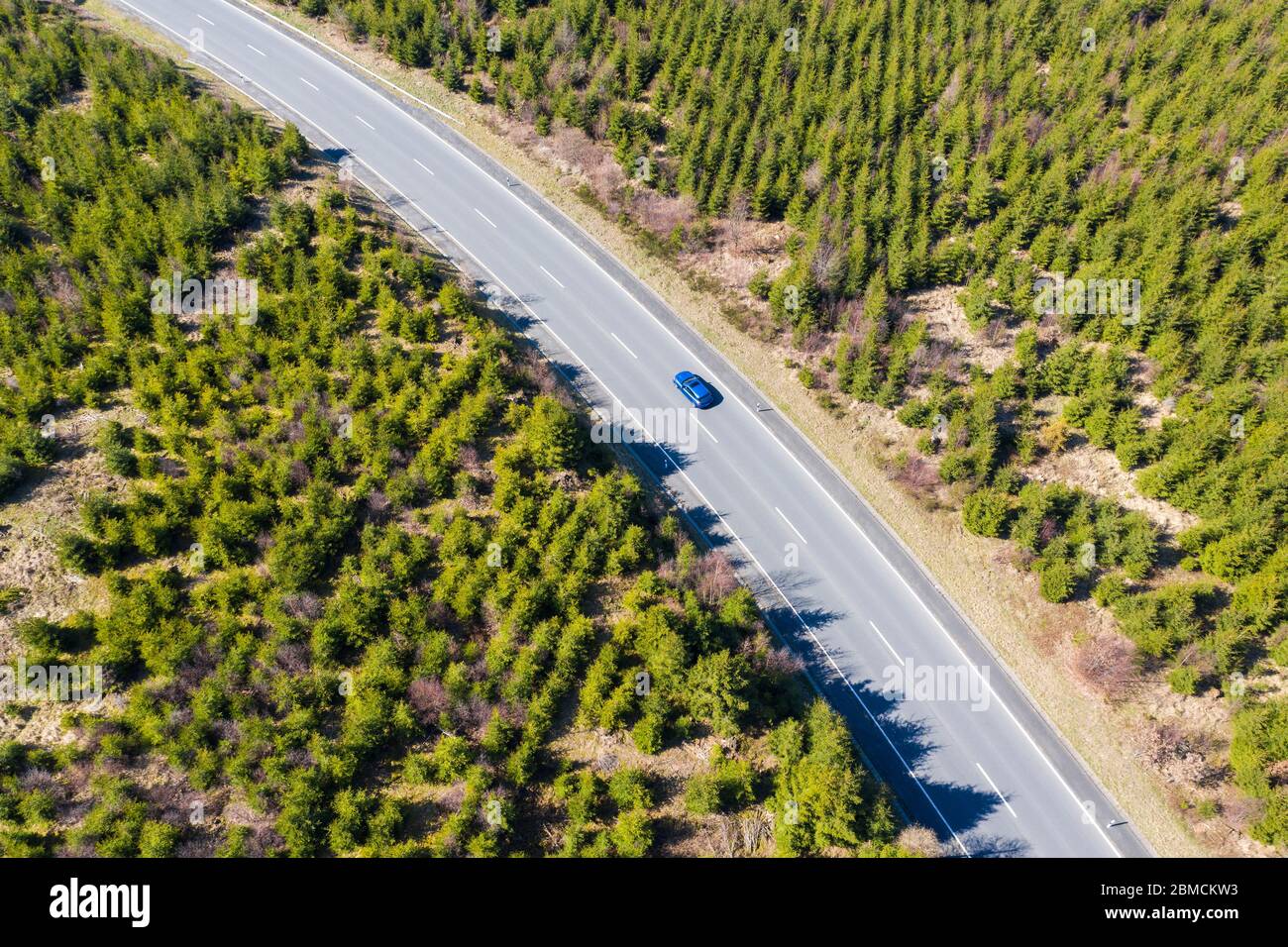 a blue street car from above in an spring forest Stock Photo - Alamy