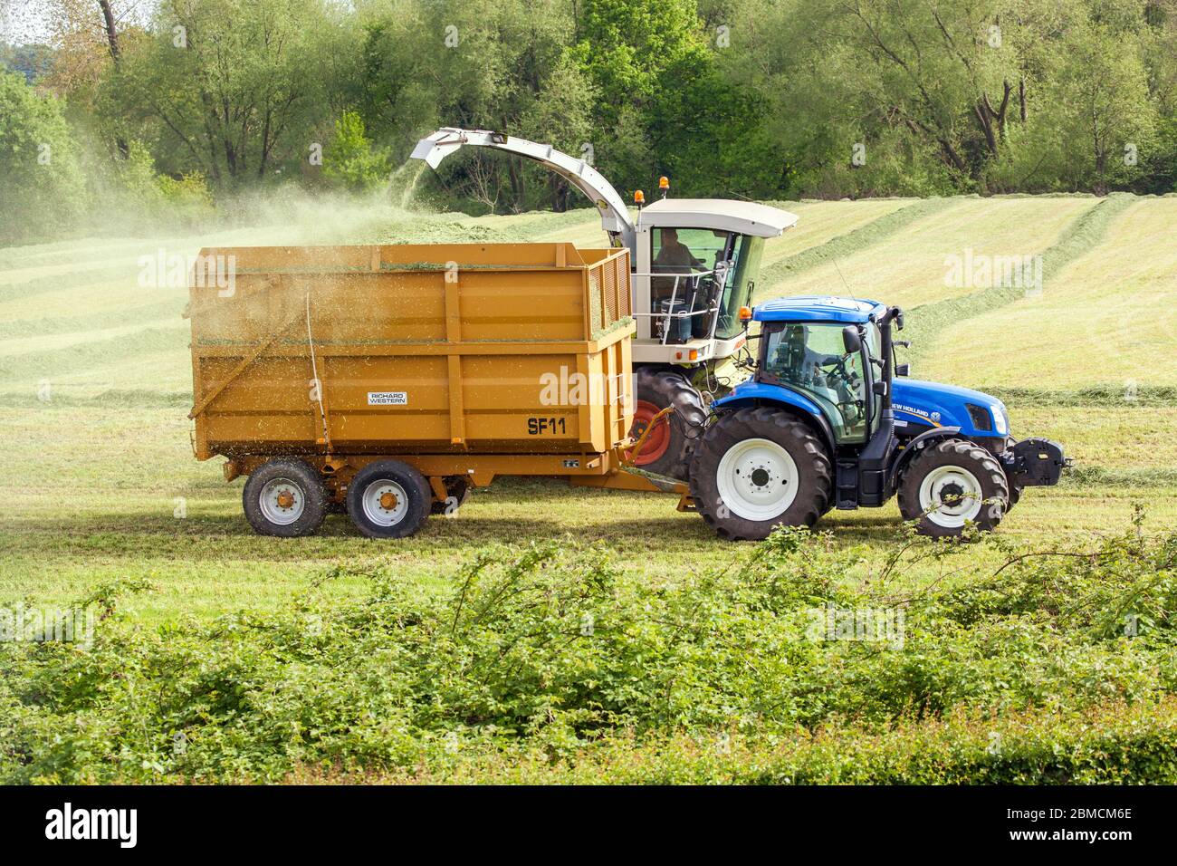 Farmer collecting grass for silage in the Cheshire countryside farmland ...