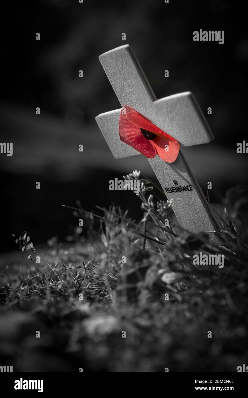A cross and poppy mark the line of the trenches at the World War 1 ...