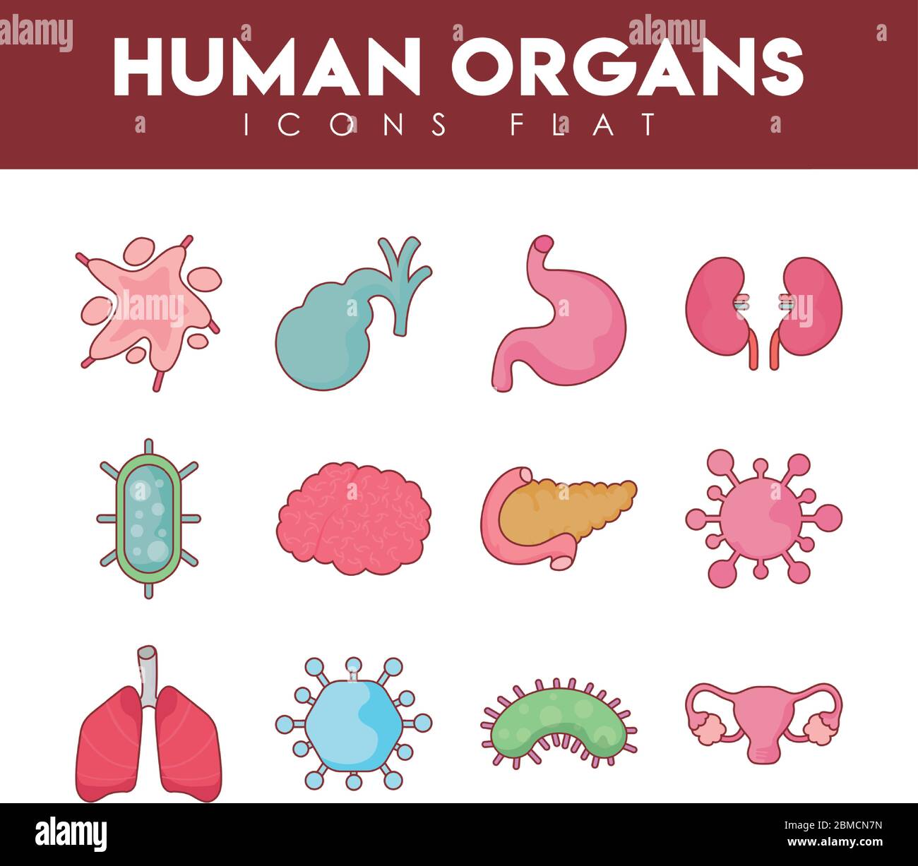 Flat style icon set design of human organs virus and medical care theme ...