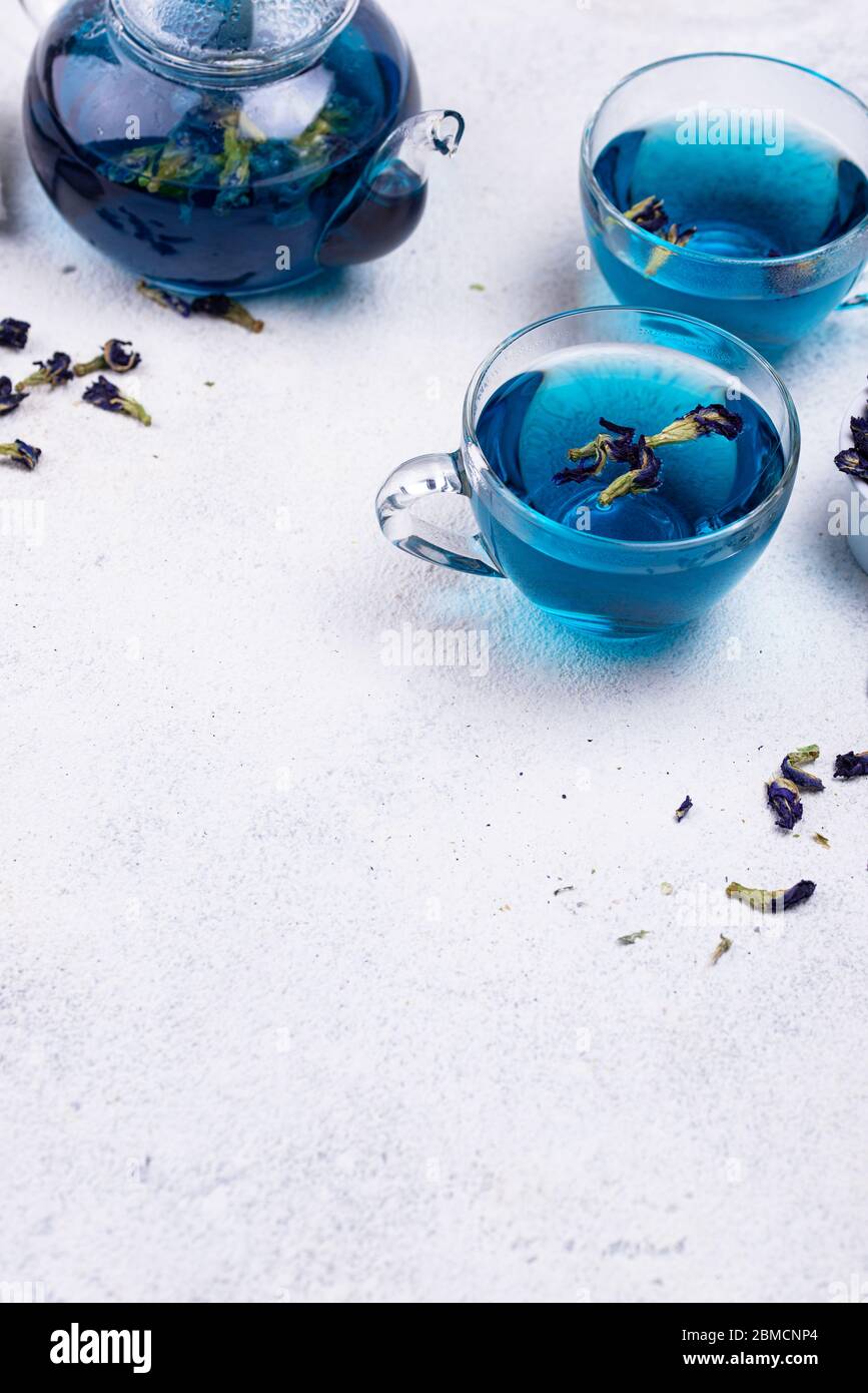 Blue tea Butterfly pea or anchan Stock Photo - Alamy