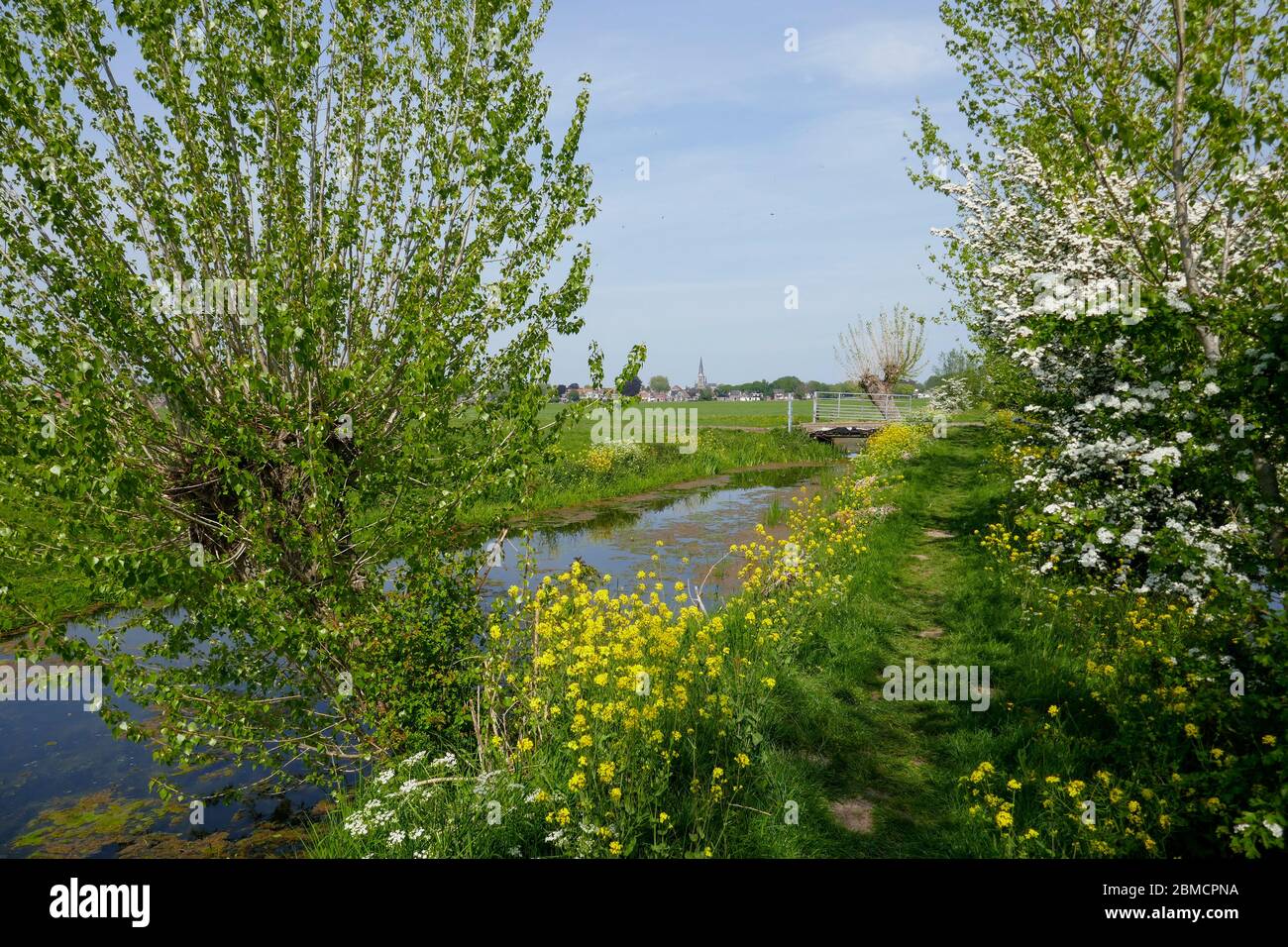 small footpath, Tiendweg, at Groene Hart, Holland Stock Photo - Alamy